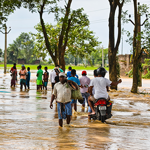 Collective Action on Land Tenure & Climate Change | GFAiR